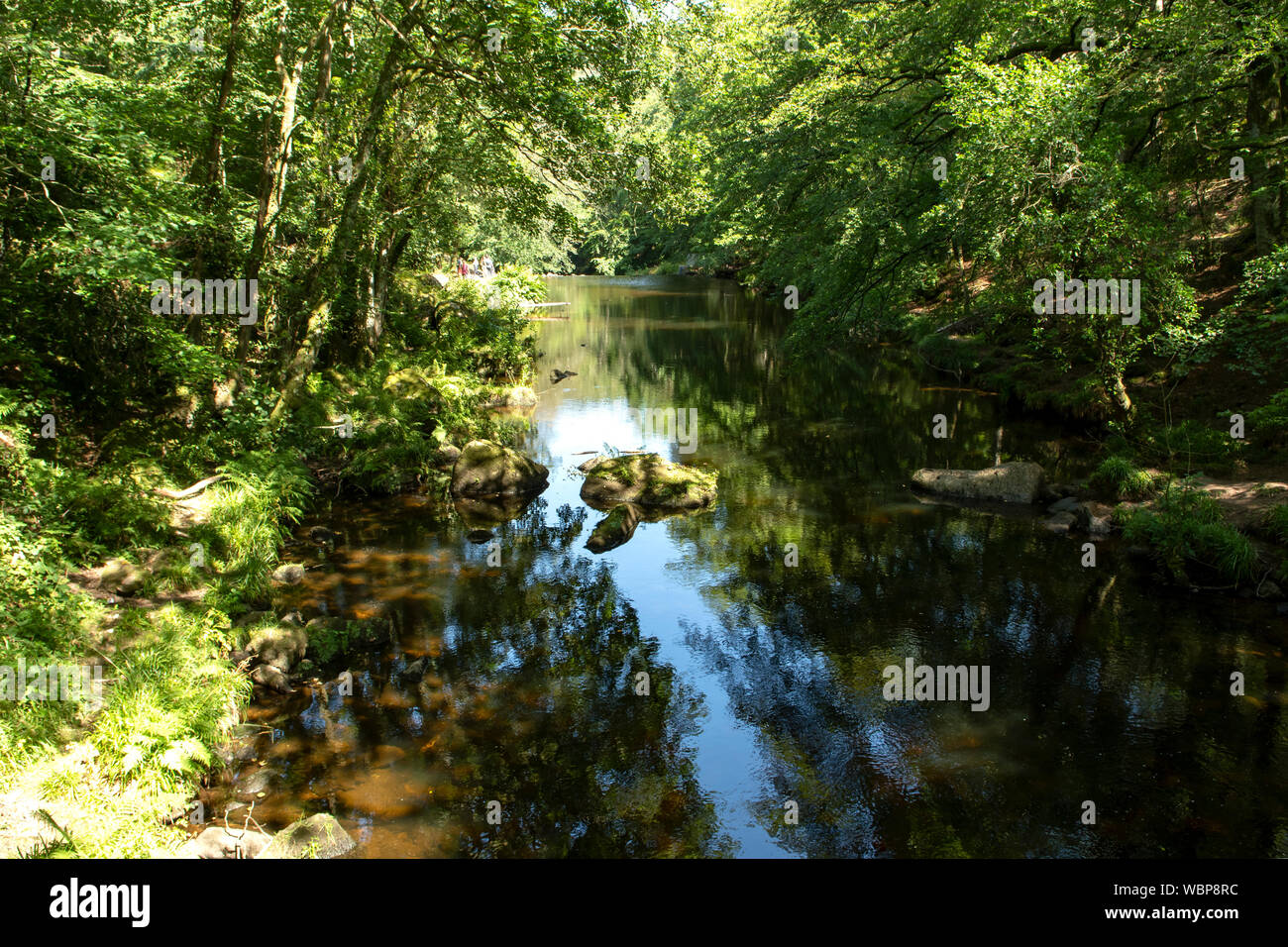 Teign river tourism hi-res stock photography and images - Alamy