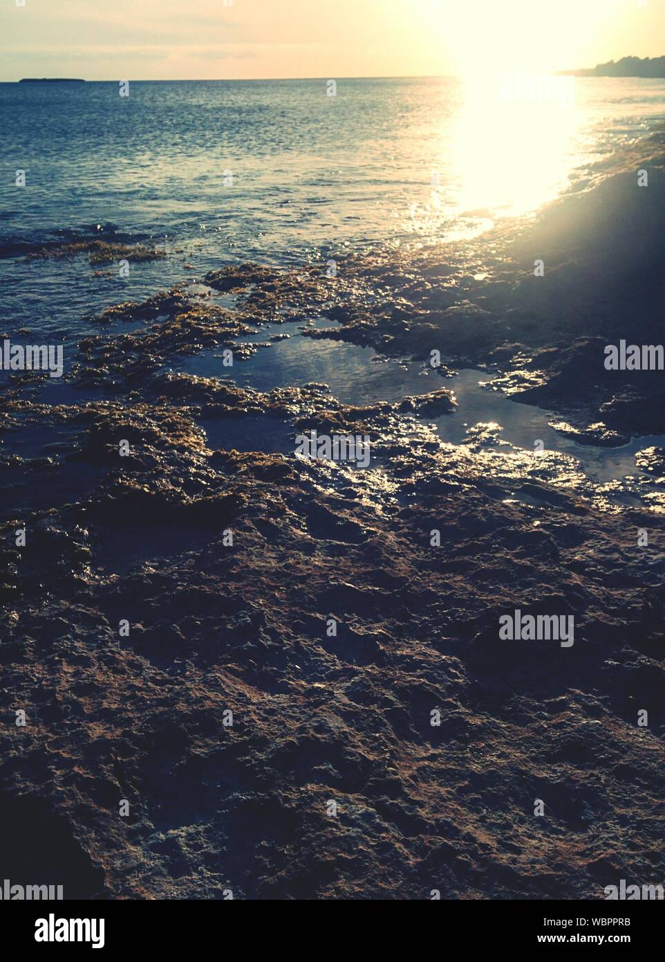 Muddy lens hi-res stock photography and images - Alamy