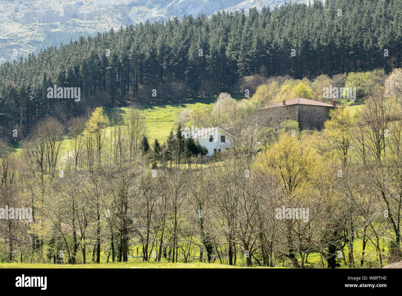 Farm fields in basque hi-res stock photography and images - Alamy