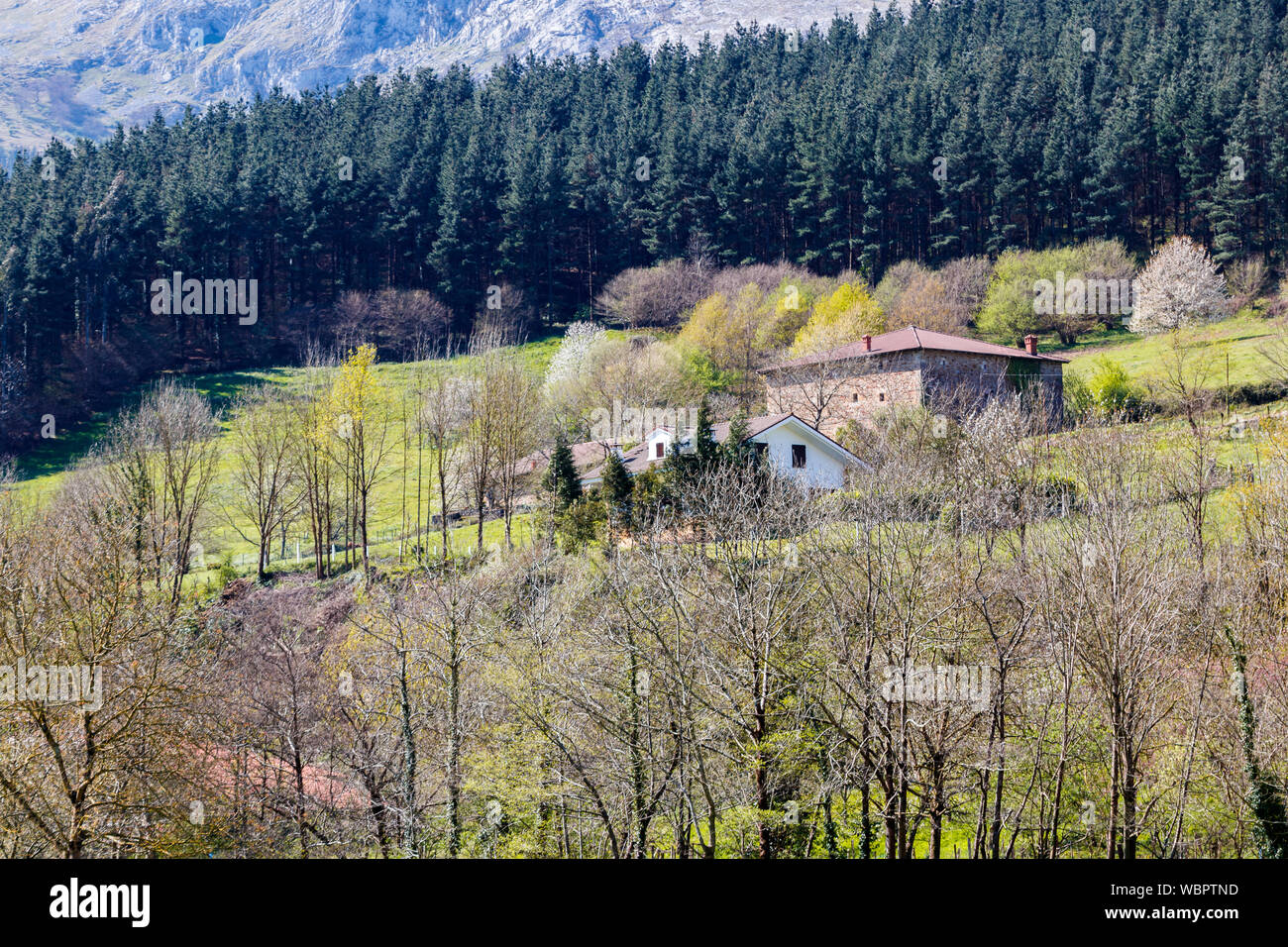 Pais vasco basque hi-res stock photography and images - Alamy