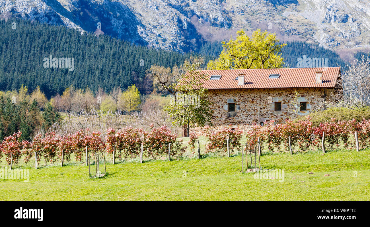 landscape in the basque country Stock Photo - Alamy