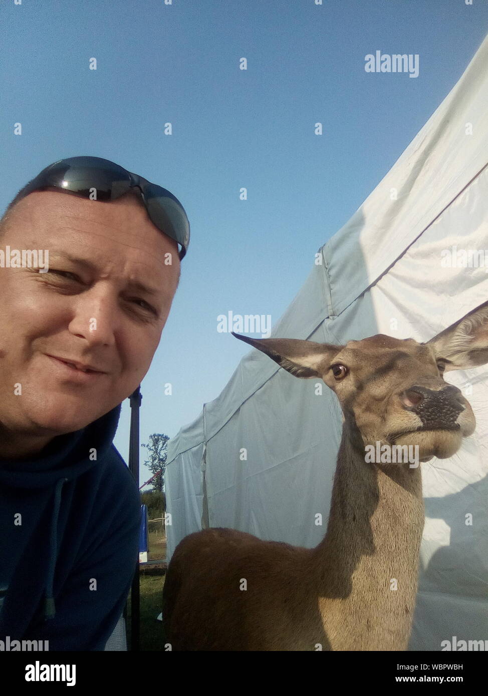 Man deer hi-res stock photography and images - Alamy