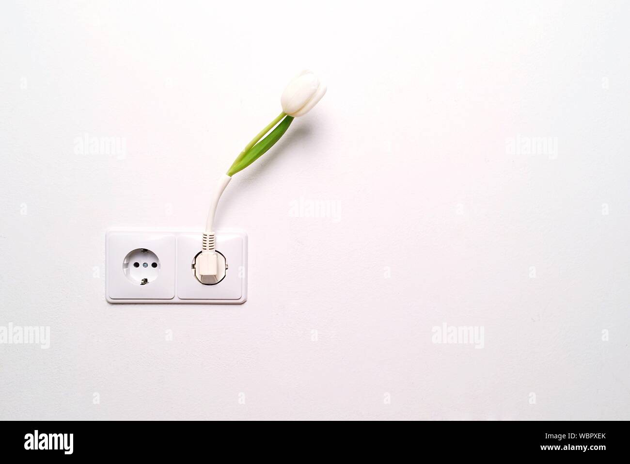 Single plug socket hi-res stock photography and images - Alamy