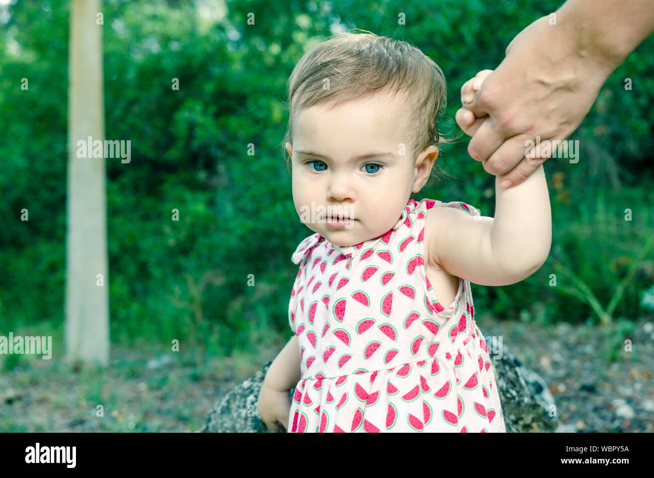 Baby Girl Standing And Holding Hands High Resolution Stock Photography ...