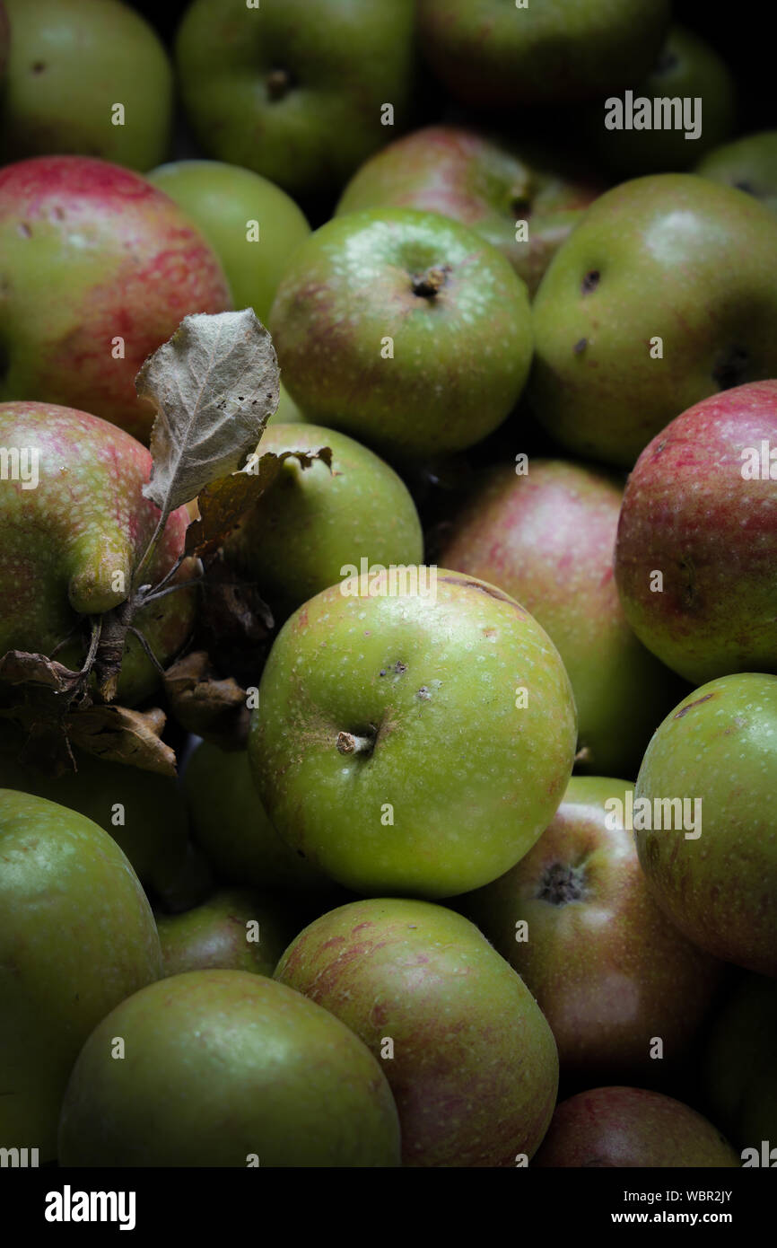 Fruit bruised hi-res stock photography and images - Alamy
