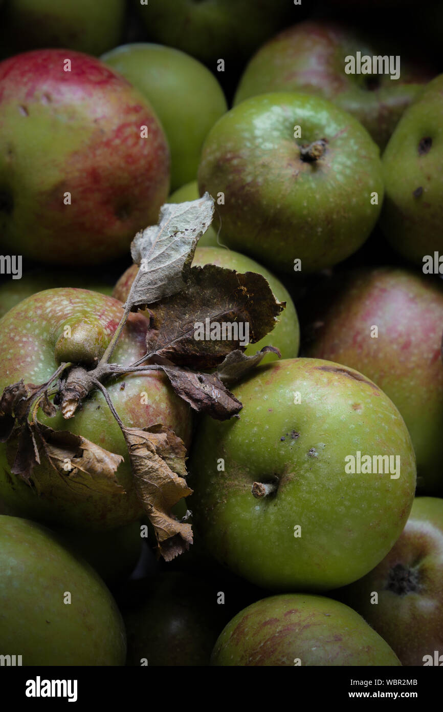 Bruised fruit hi-res stock photography and images - Alamy