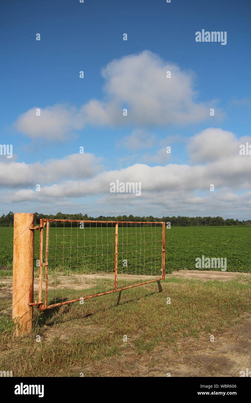 Metal farm field gate hi-res stock photography and images - Alamy