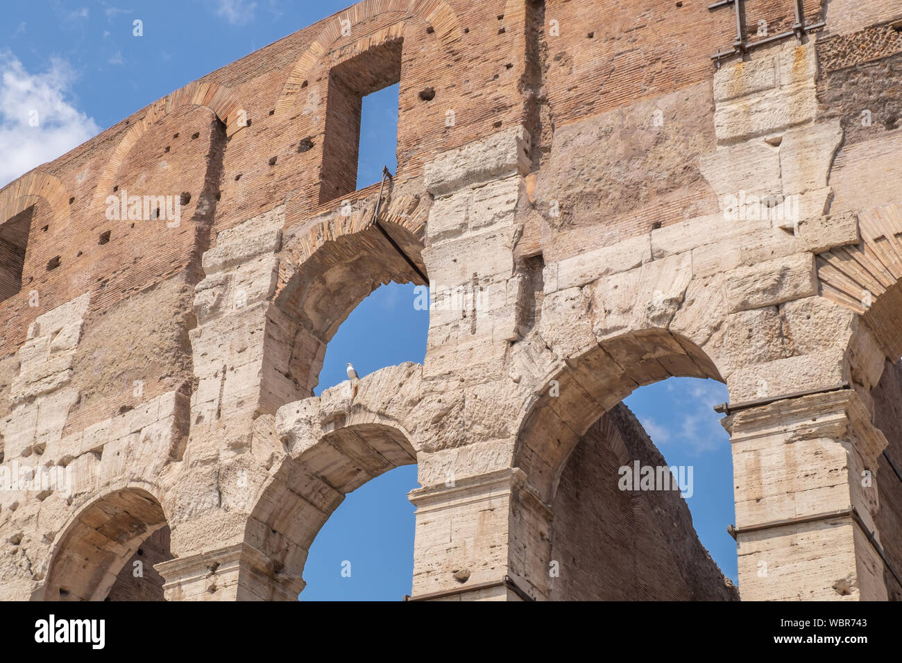 Colosseum in Rome - the largest amphitheatre in the world Stock Photo ...