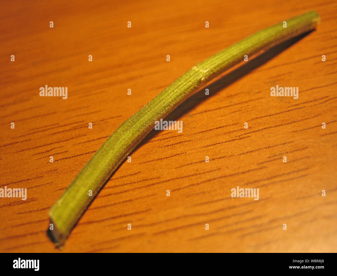 Cannabis bud crete marihuana close up vintage old shoot nature ...