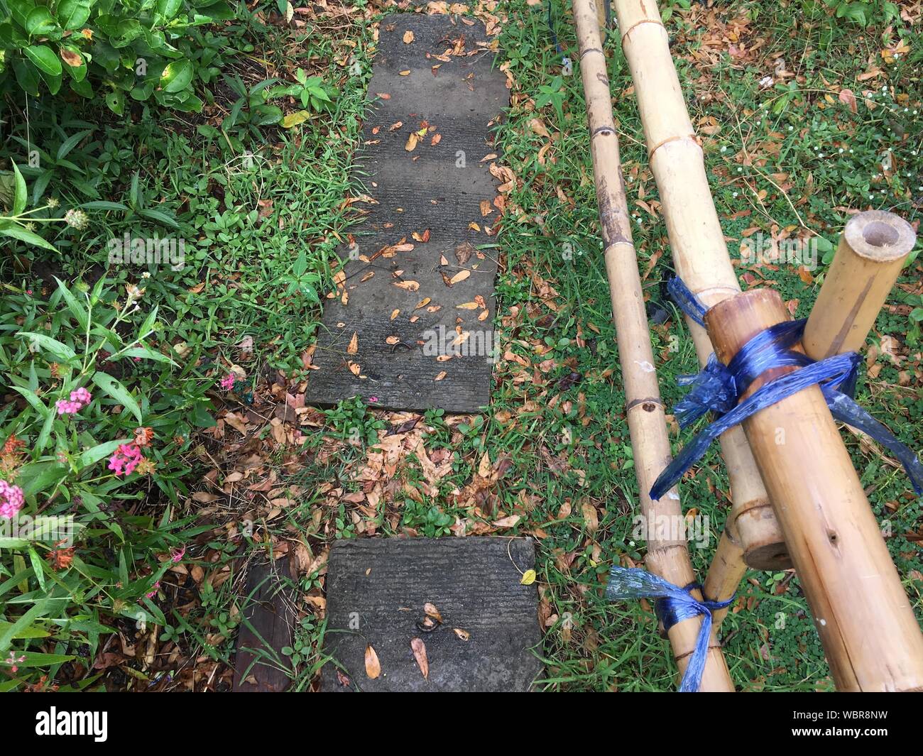 Bamboo railing hi-res stock photography and images - Alamy