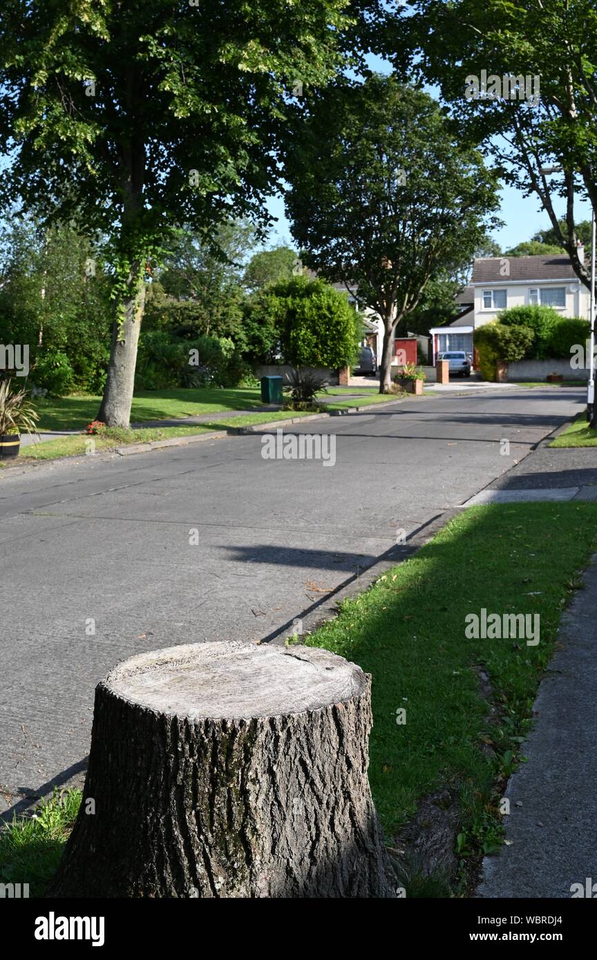 Tree stump in Ard na Greine housing estate, Dublin Stock Photo - Alamy