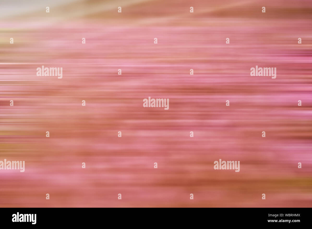 pink bright colors mesh background. Colorful. Smooth blend banner ...