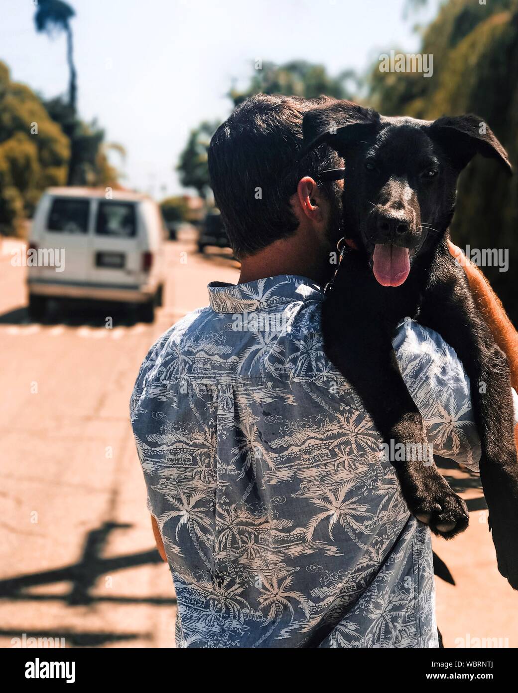 Man carrying dog hi-res stock photography and images - Alamy