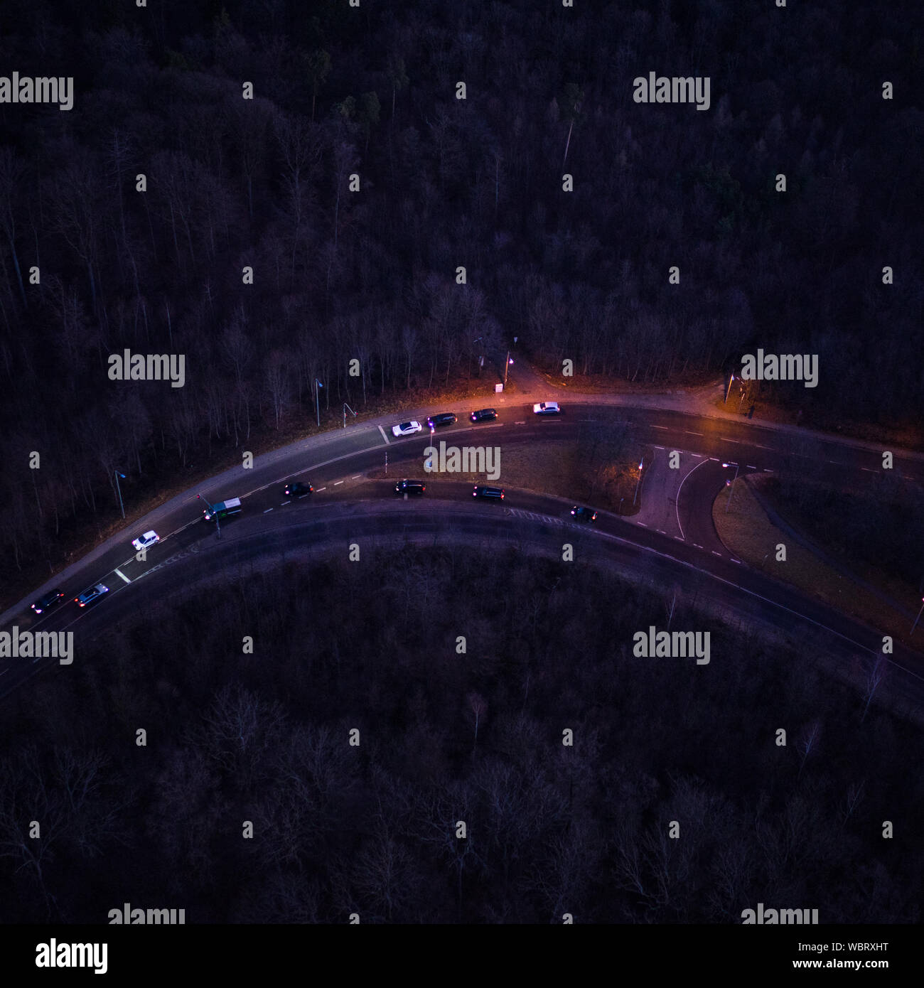 Night forest road hi-res stock photography and images - Alamy