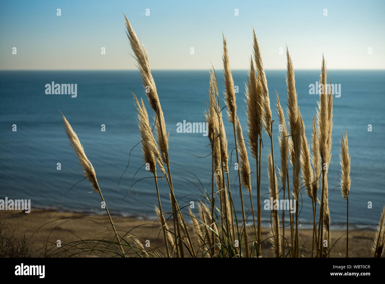 Seaside colours hi-res stock photography and images - Alamy