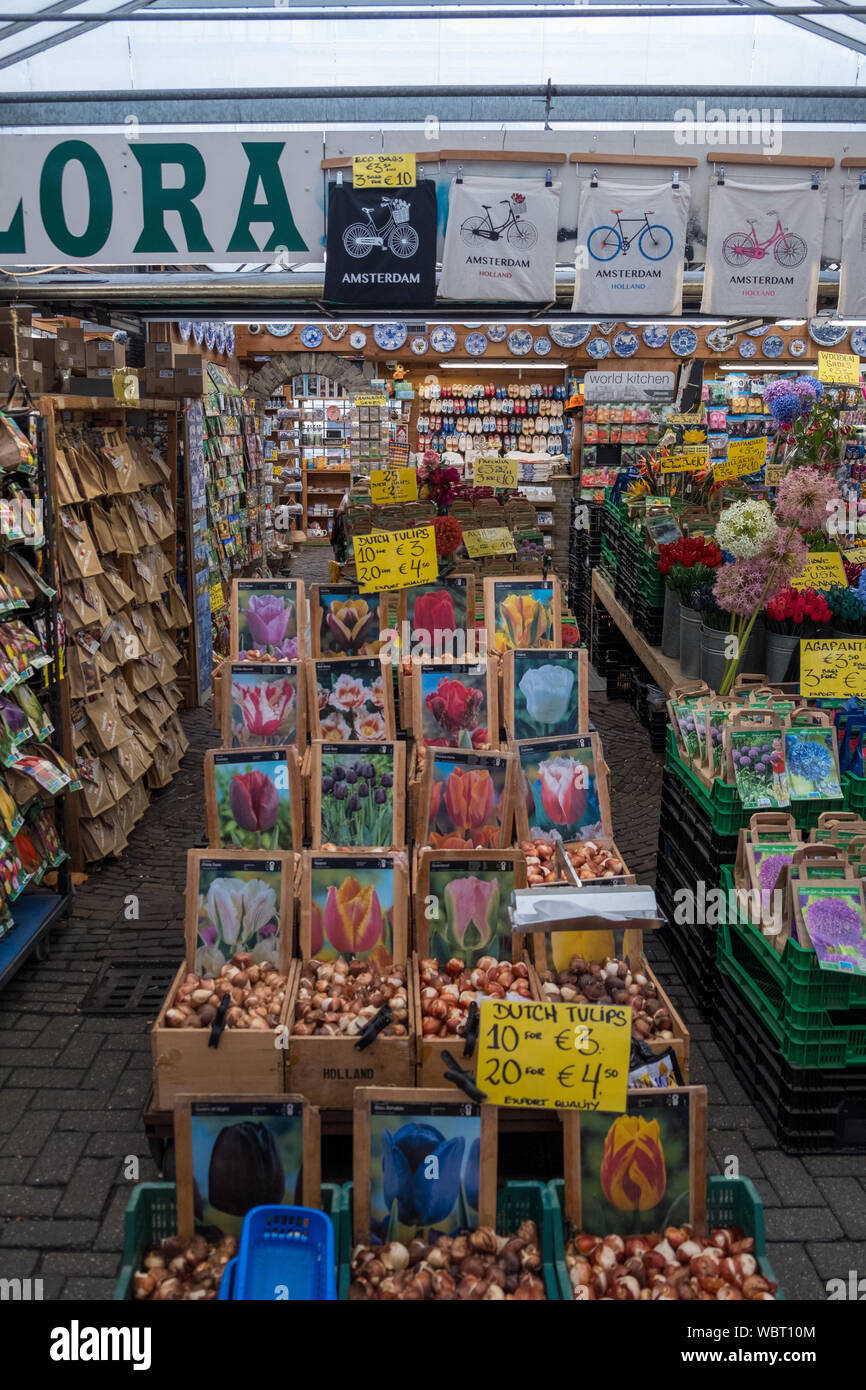Amsterdam tourism hi-res stock photography and images - Alamy