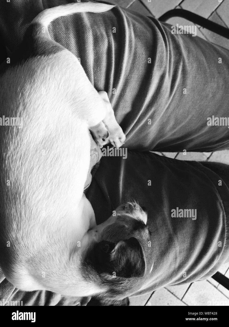 Lap Body Area High Resolution Stock Photography and Images - Alamy