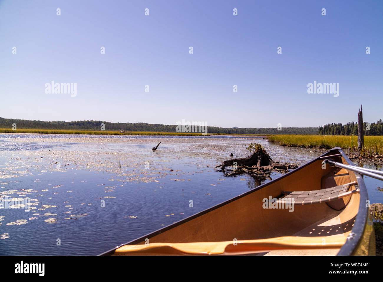 Algonquin provincial park opeongo lake hi-res stock photography and ...