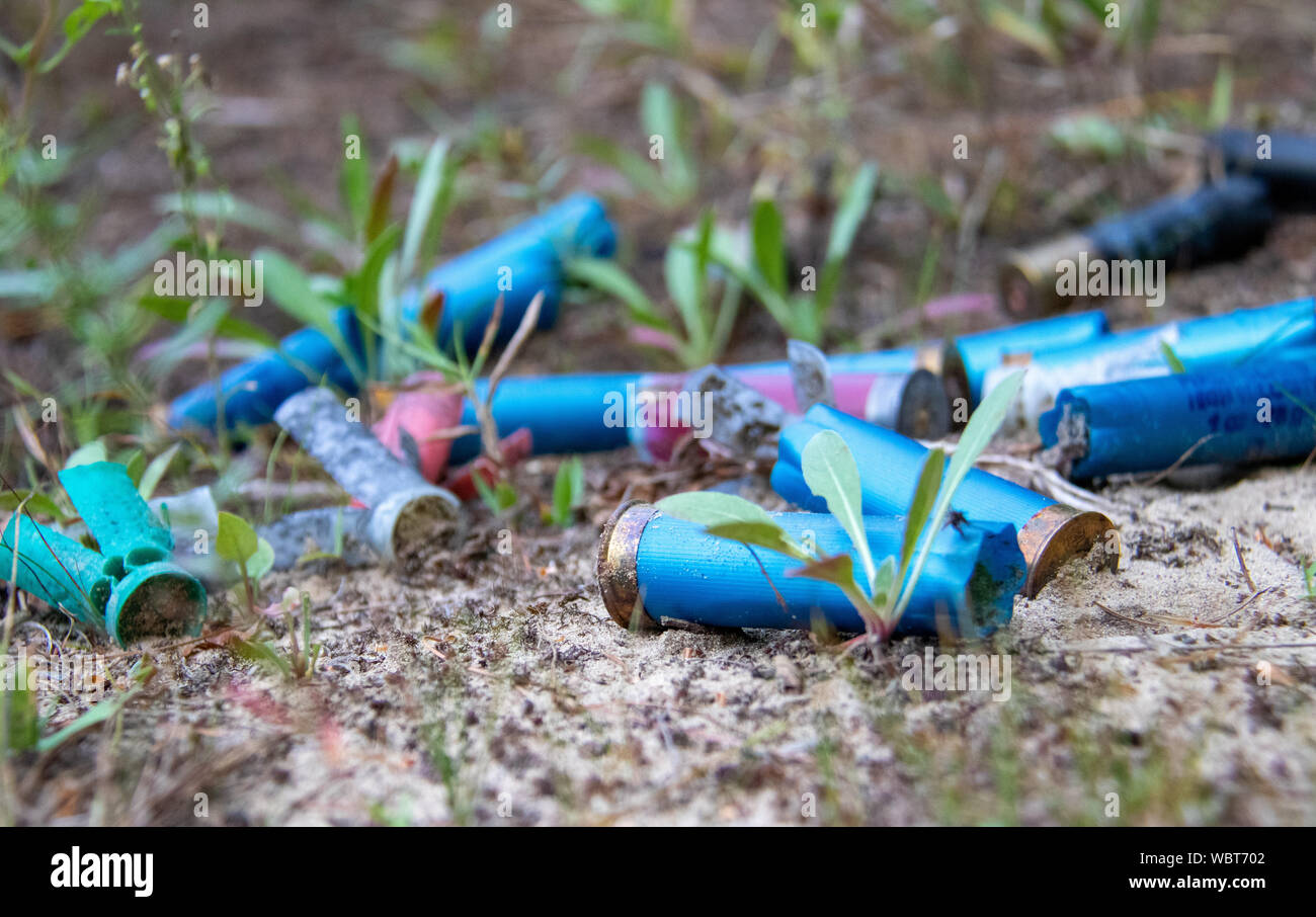 Spent shotgun shells on sand in nature reserve Stock Photo - Alamy