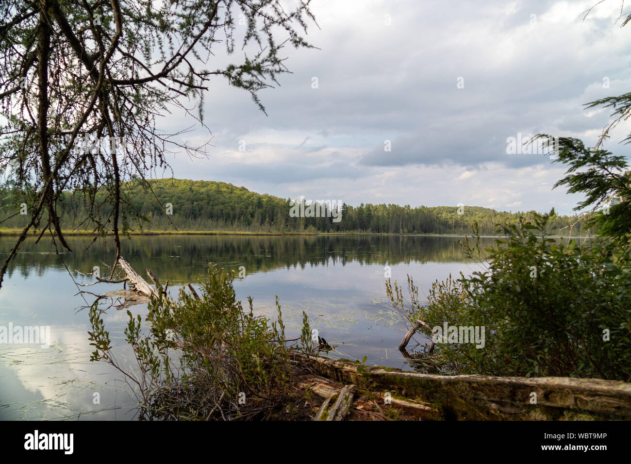 Forest andlake landscape along Mizzy Lake Trail Stock Photo - Alamy