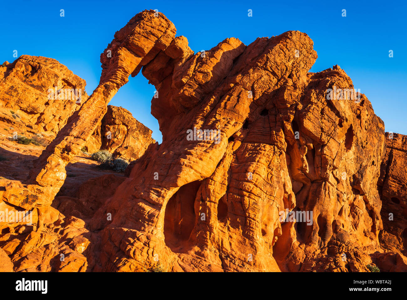Morning light on Elephant Rock, Valley of Fire State Park, Nevada USA ...