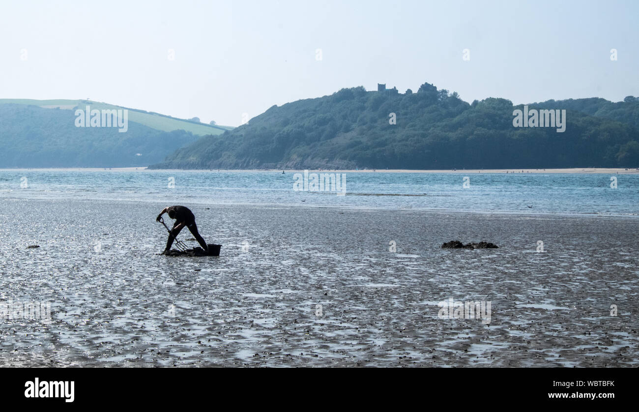 Cockles wales hi-res stock photography and images - Alamy