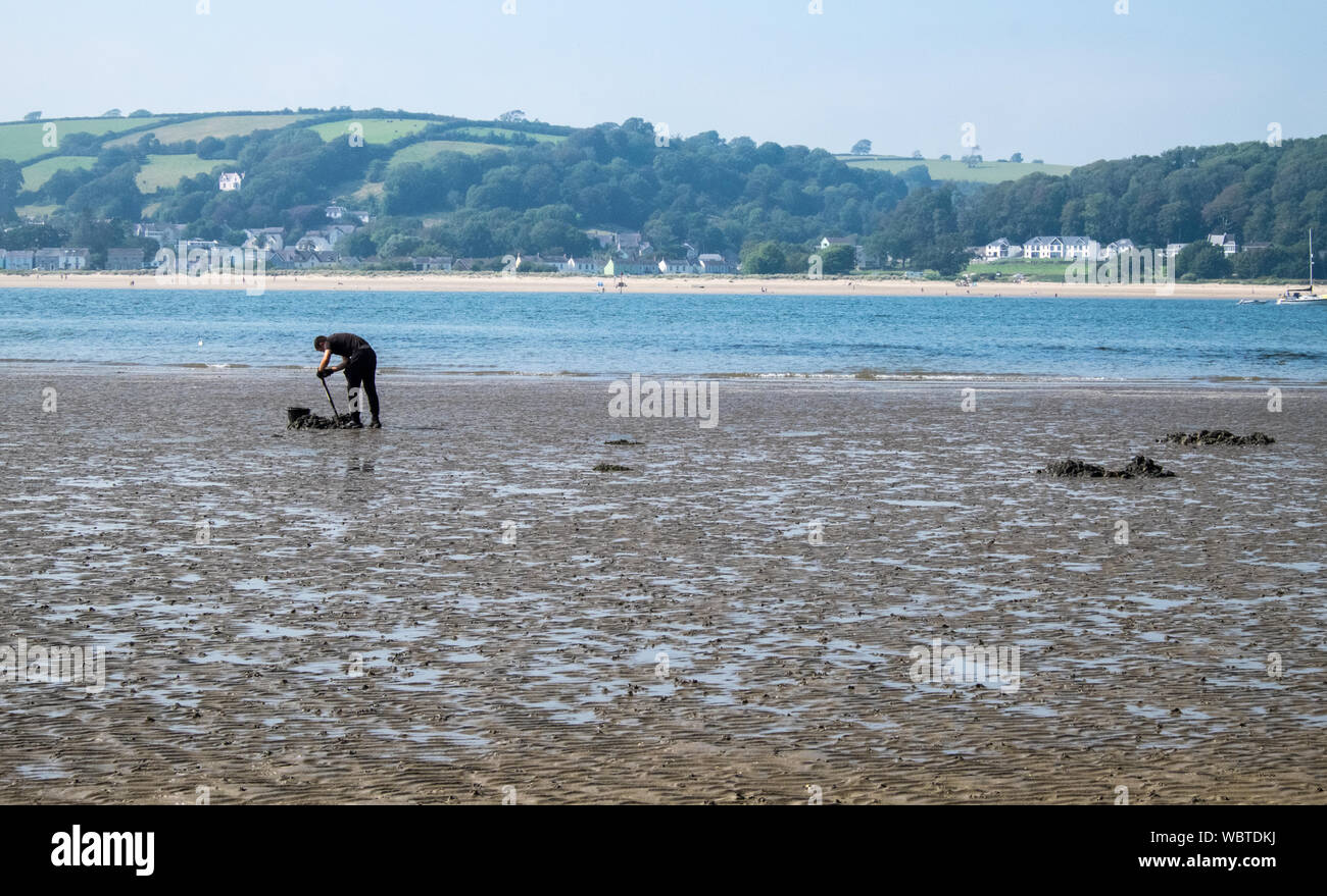 Muddy and sandy area hi-res stock photography and images - Alamy