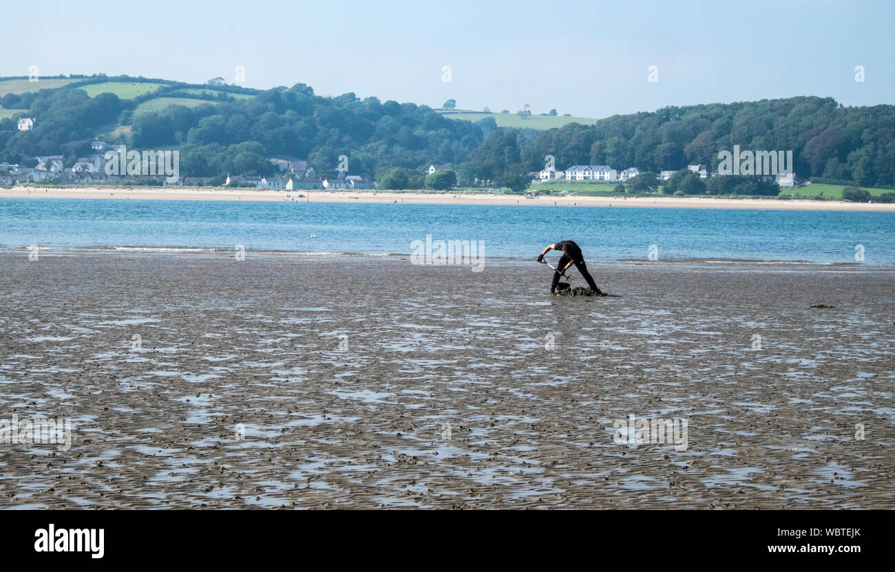 Cockles wales hi-res stock photography and images - Alamy