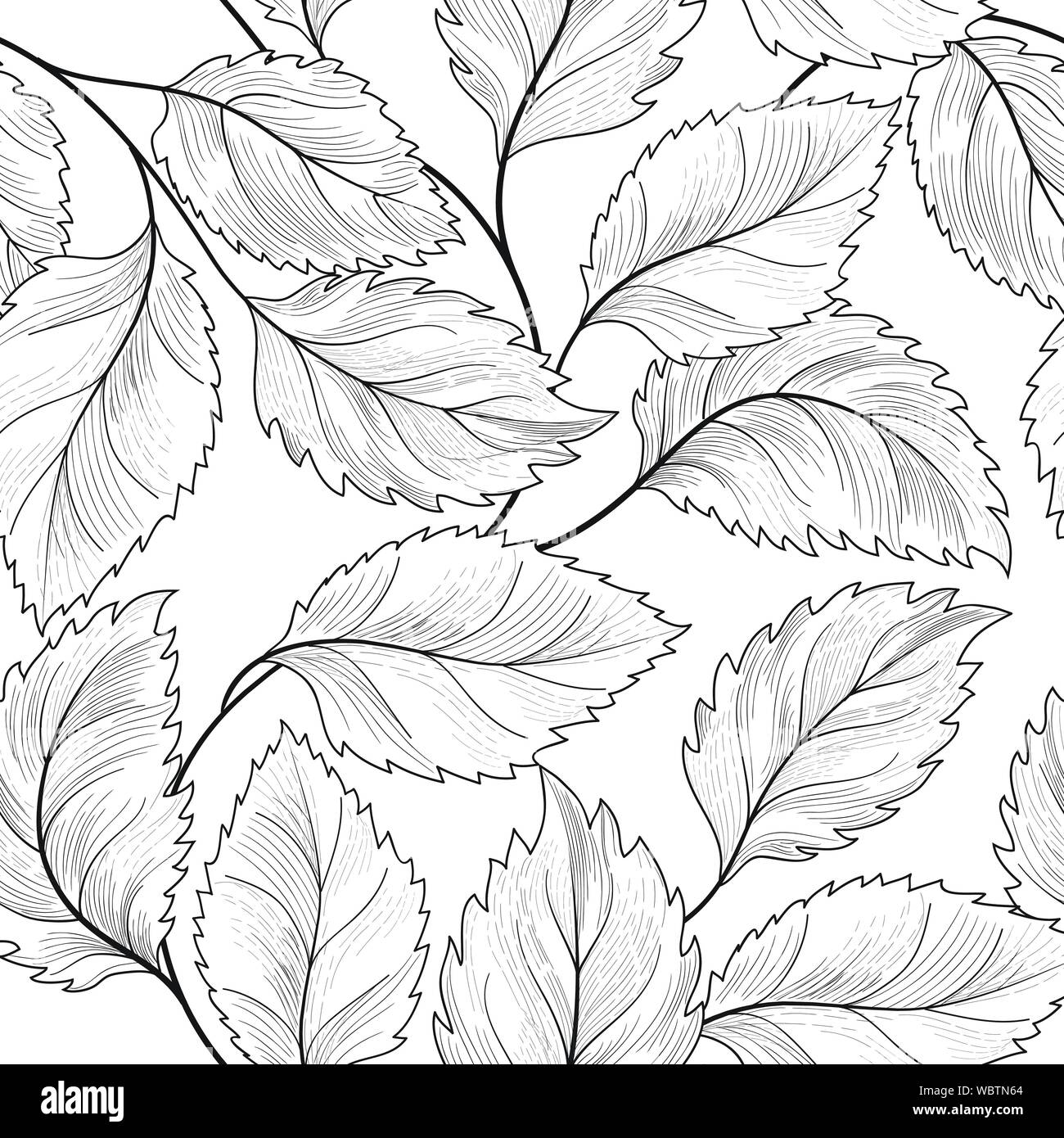 Liana drawing hi-res stock photography and images - Alamy