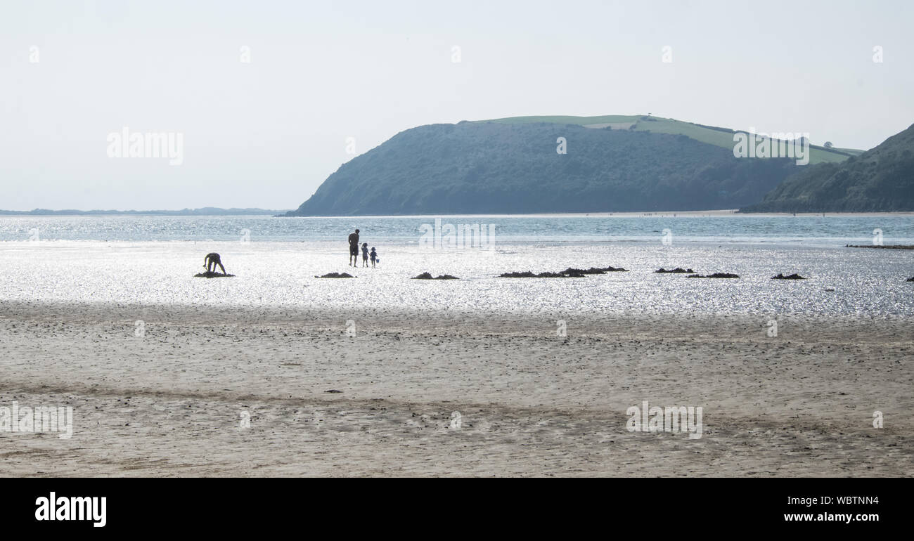 Cockles wales hi-res stock photography and images - Alamy