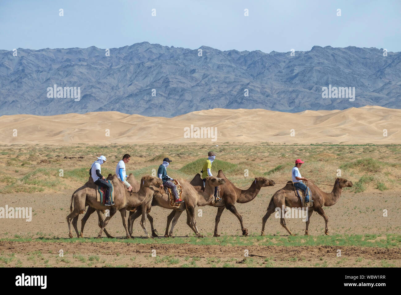 Chinese camel hi-res stock photography and images - Alamy