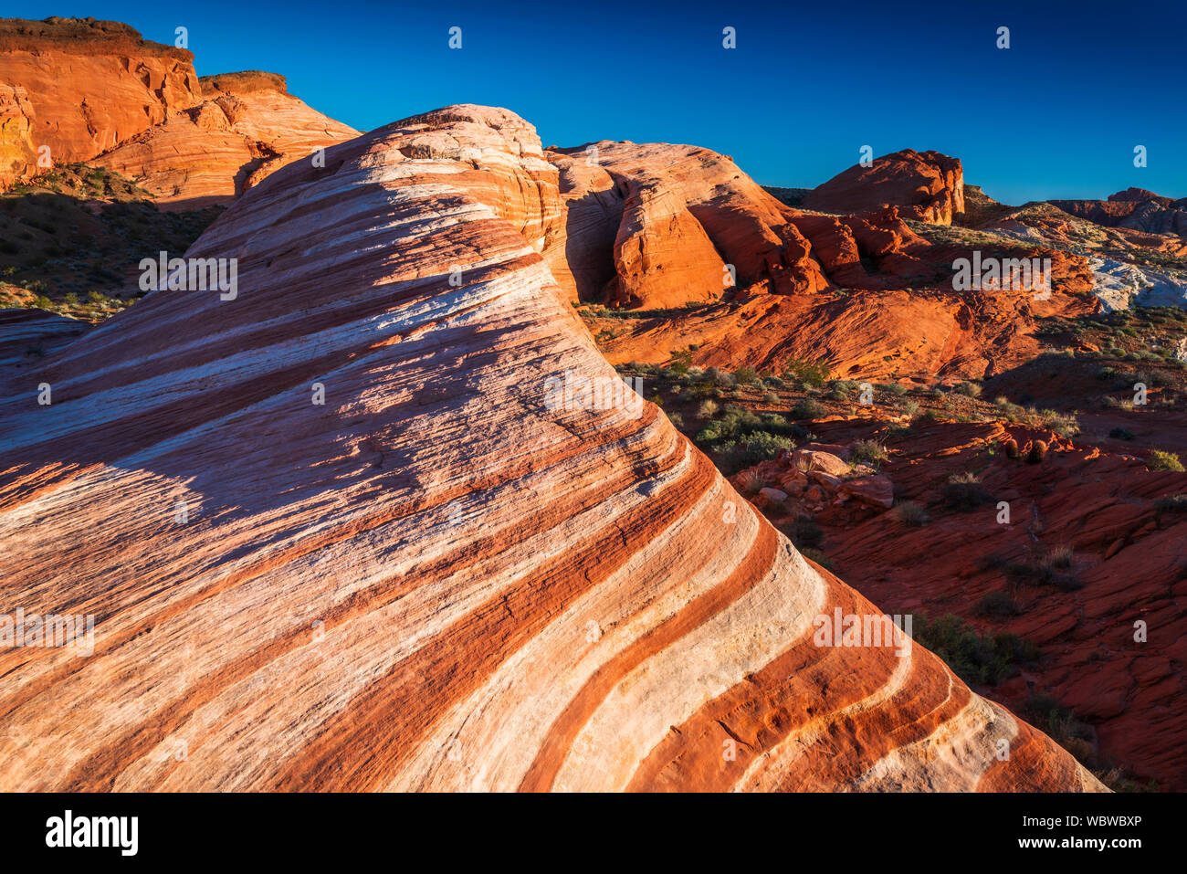 Evening light on the Fire Wave, Valley of Fire State Park, Nevada USA ...