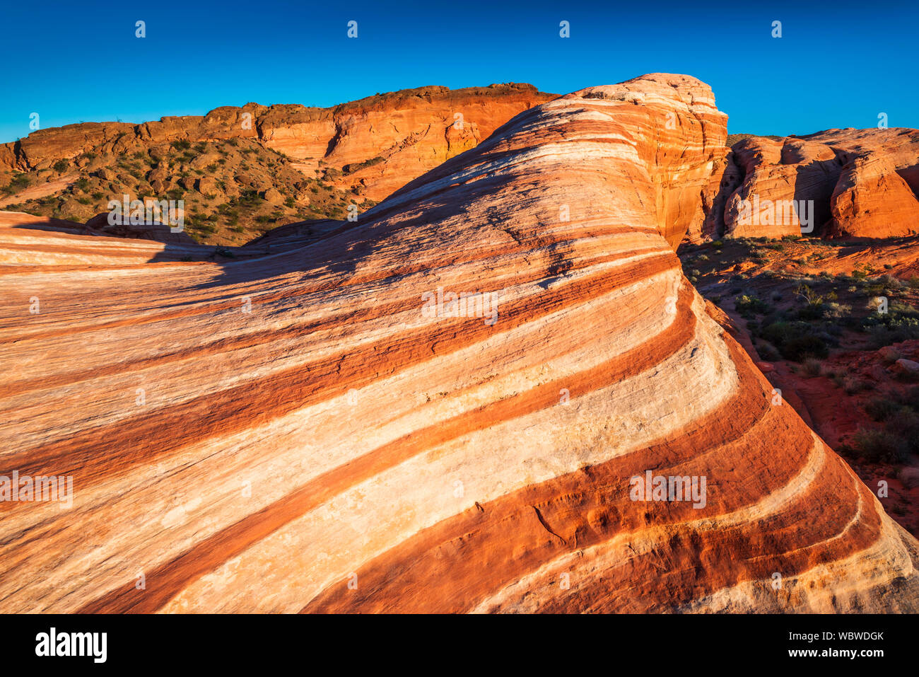 Evening light on the Fire Wave, Valley of Fire State Park, Nevada USA ...
