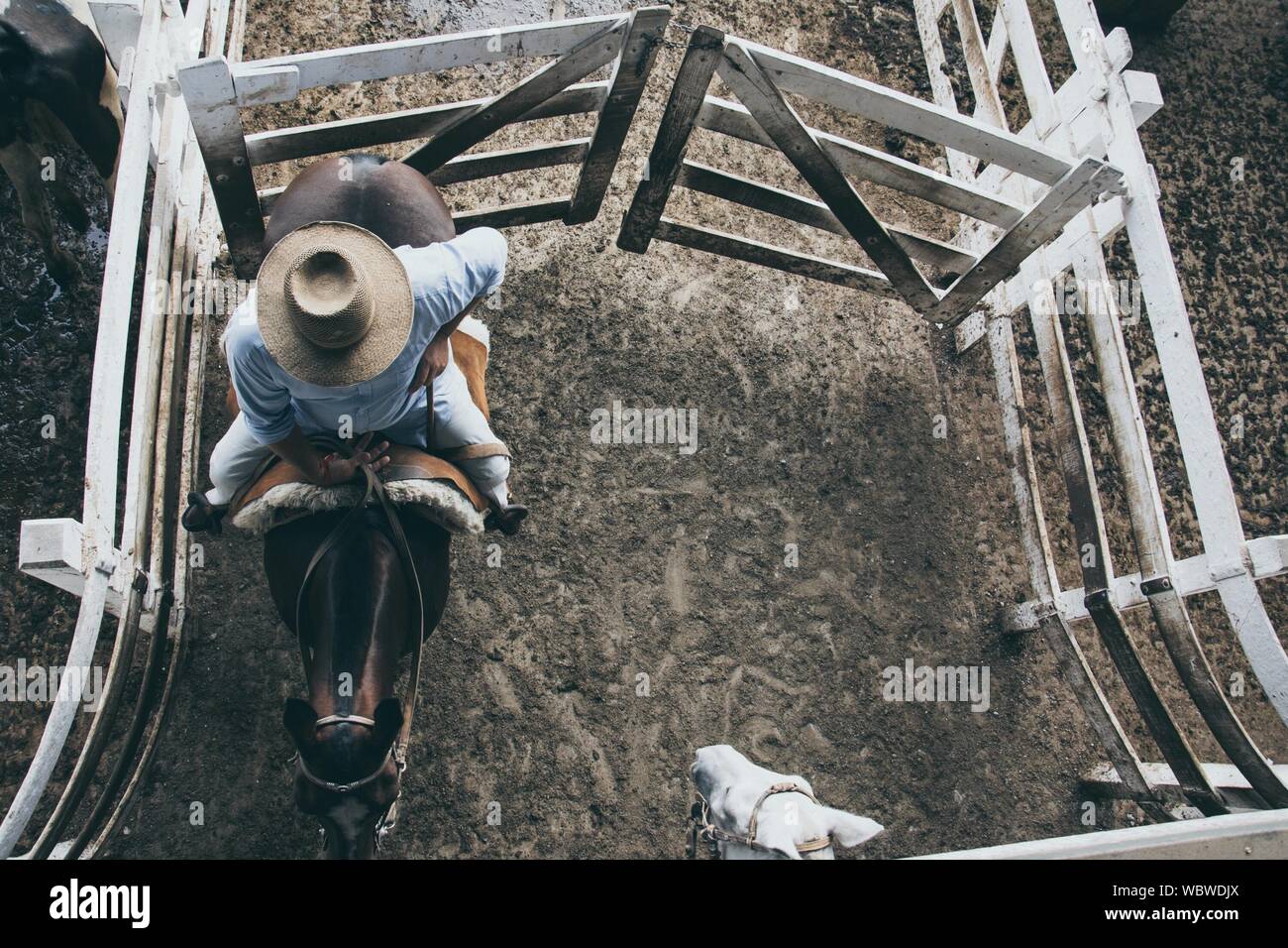 Horseback riding stable hi-res stock photography and images - Alamy