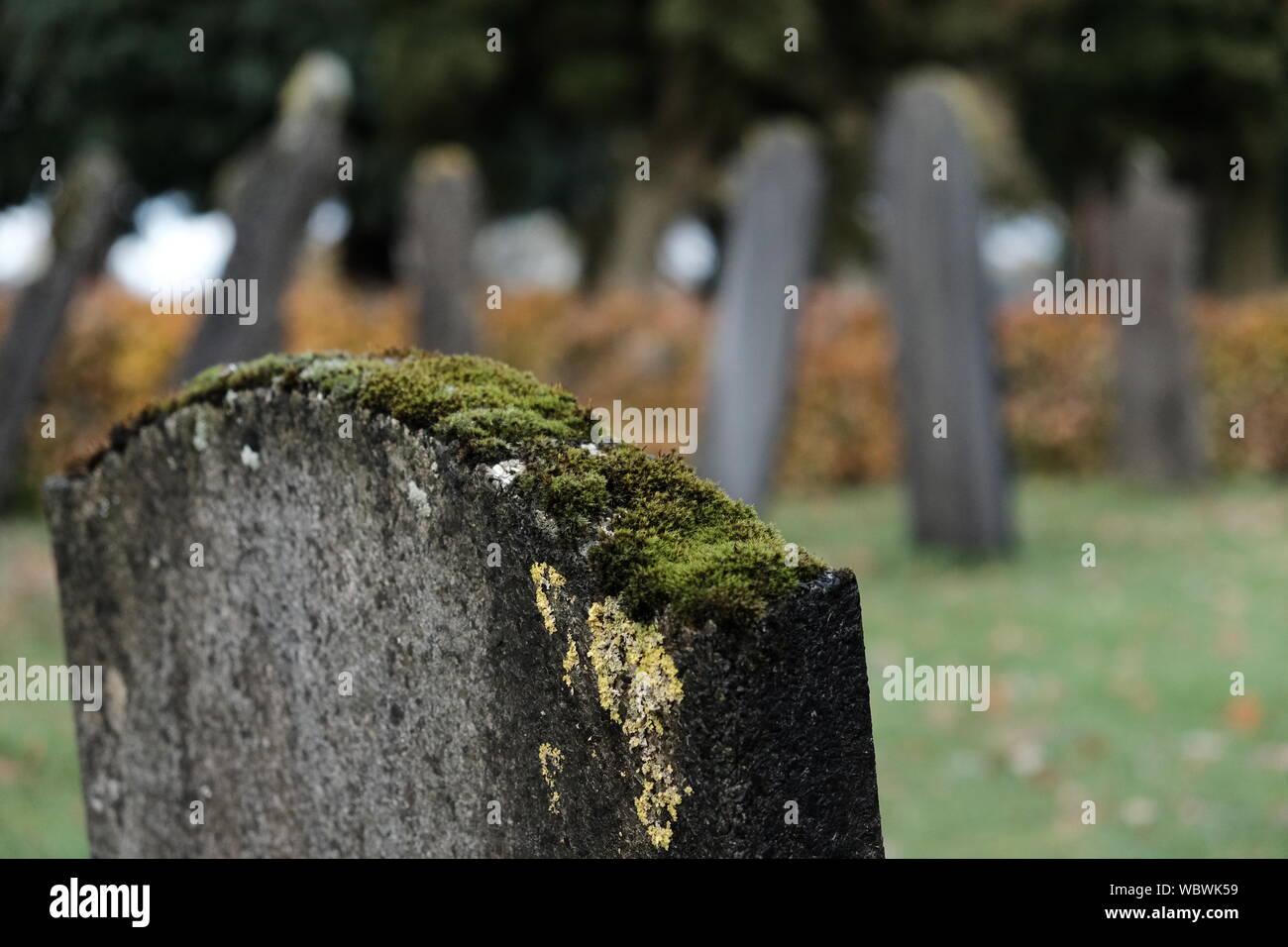 Graveyard Moss High Resolution Stock Photography and Images - Alamy