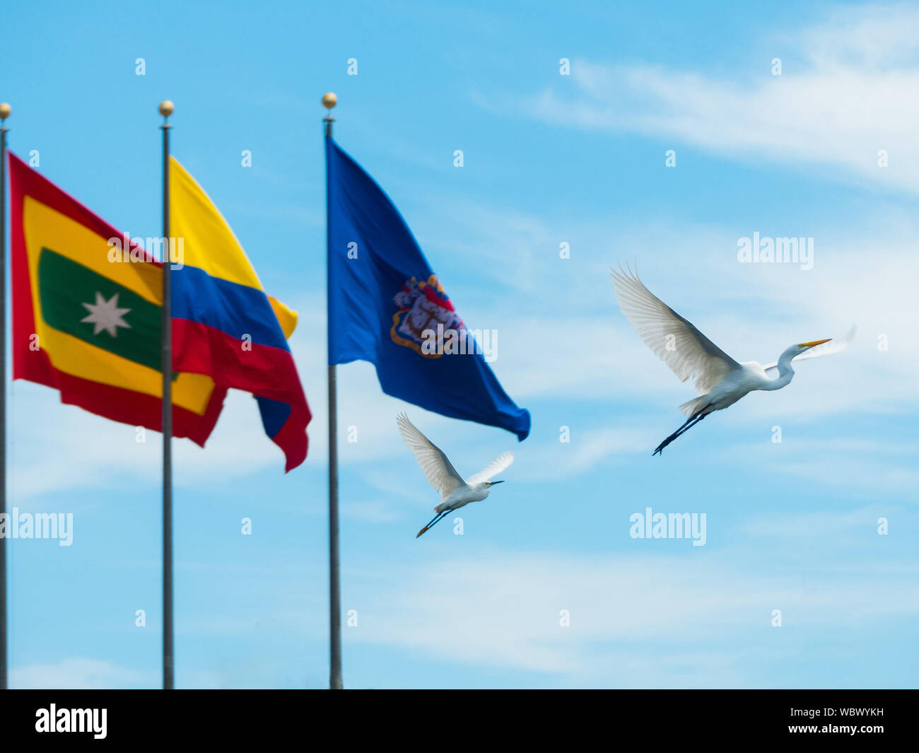 Flags flying in blue sky hi-res stock photography and images - Alamy