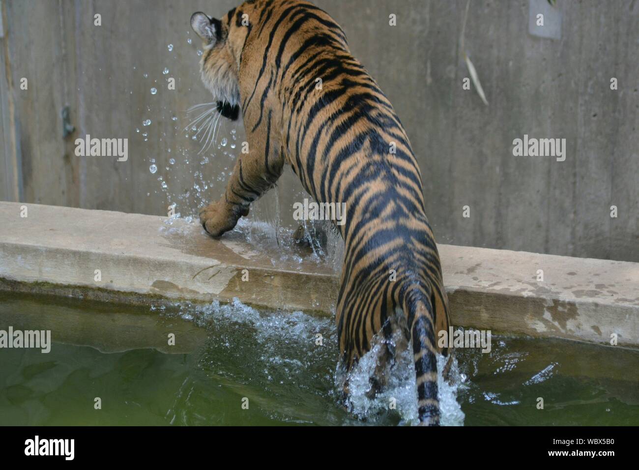 People getting on the water hi-res stock photography and images - Alamy