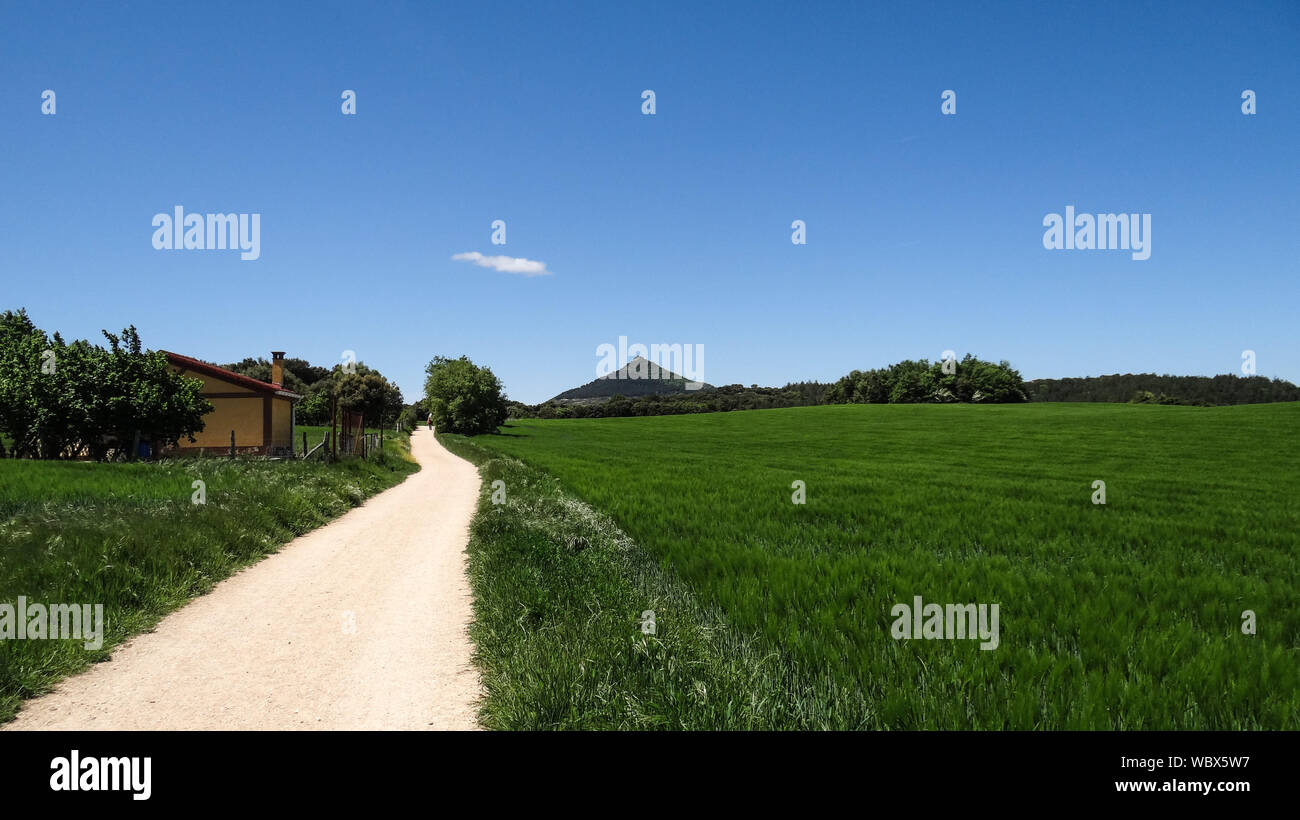 Narrow pathway hi-res stock photography and images - Alamy
