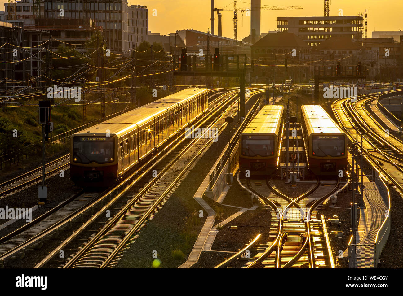 Railway tracks at Warschauer Strasse station in the evening light, S ...