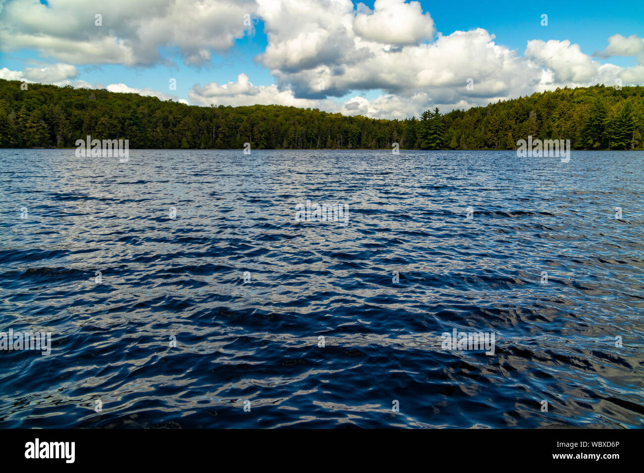 Hemlock bluff trail hi-res stock photography and images - Alamy