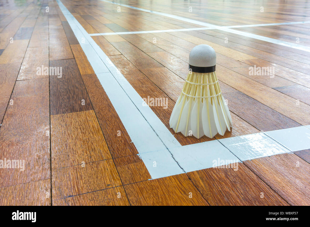 Shuttercock High Resolution Stock Photography and Images - Alamy