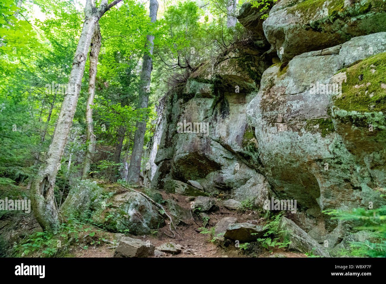 Rocky outcrop along Bat Lake hiking trail in Algonquin Provincial Park ...
