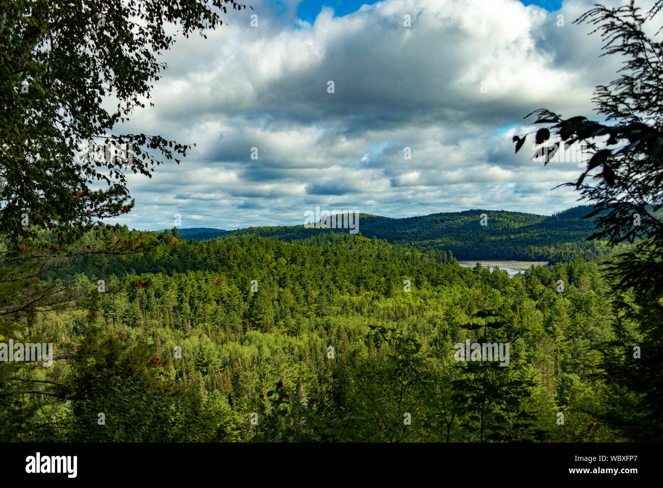Landscape of Canadian lake and trees along Bat Lake Trail in Algonquin ...