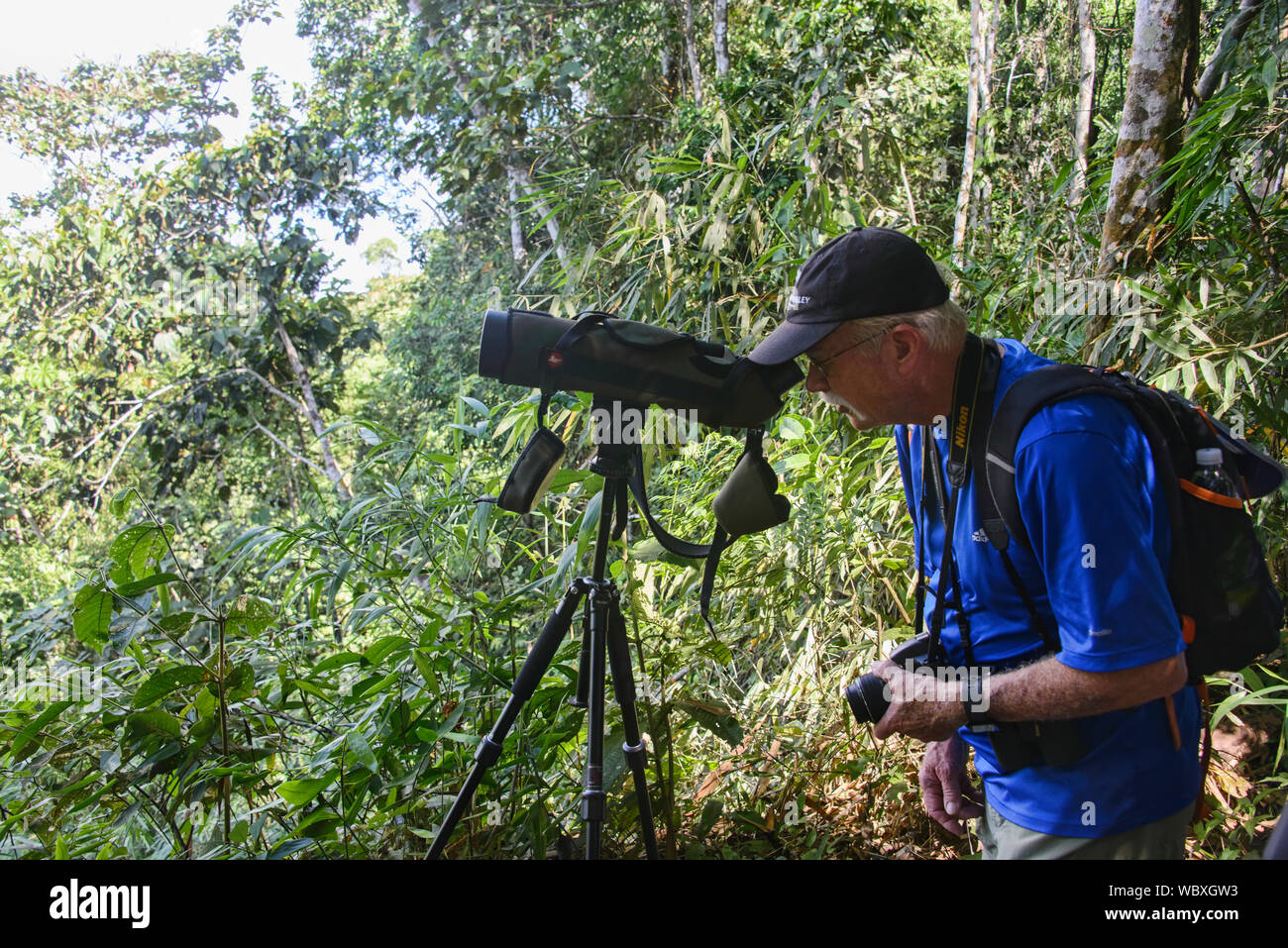 Birdwatching peru hi-res stock photography and images - Alamy