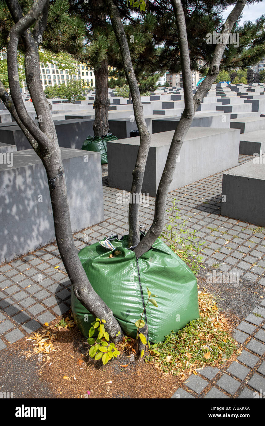 Treegator irrigation system, for targeted irrigation of trees in dry ...