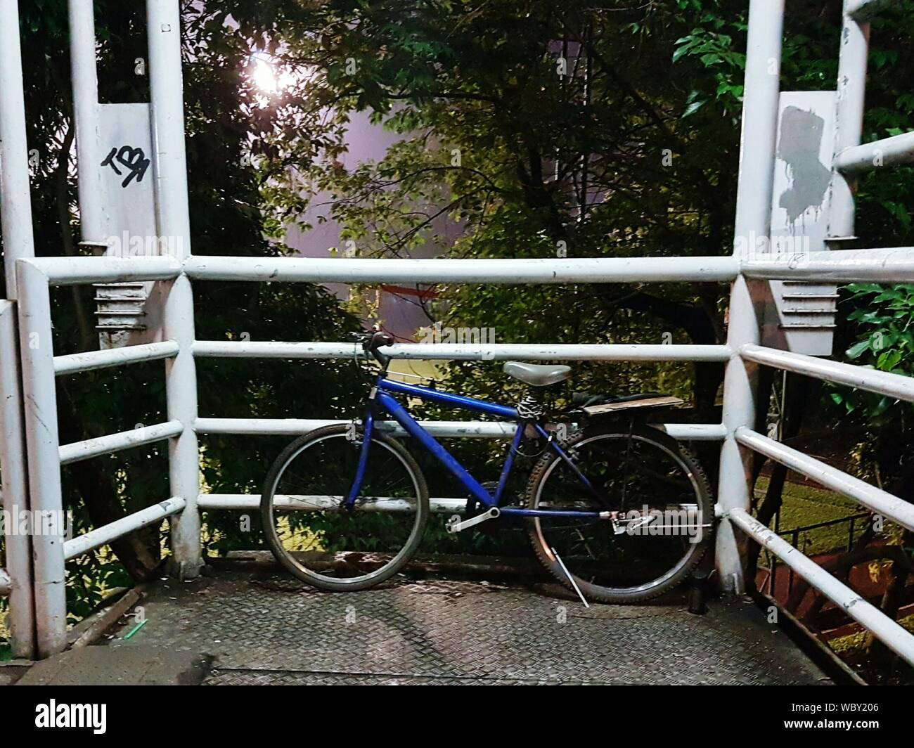 Bicycle leaning against tree hi-res stock photography and images - Alamy