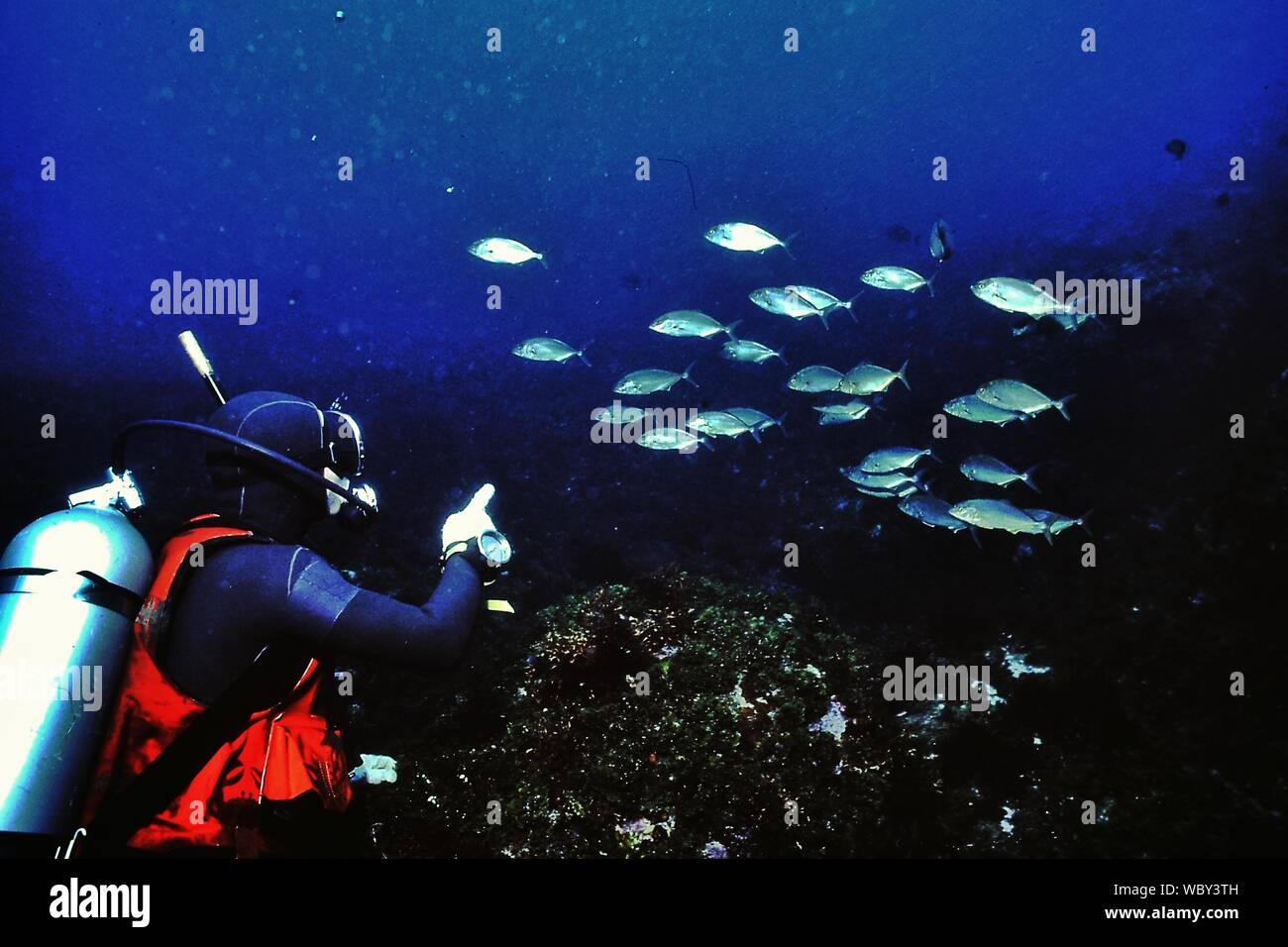 Group people pointing fingers in hi-res stock photography and images ...