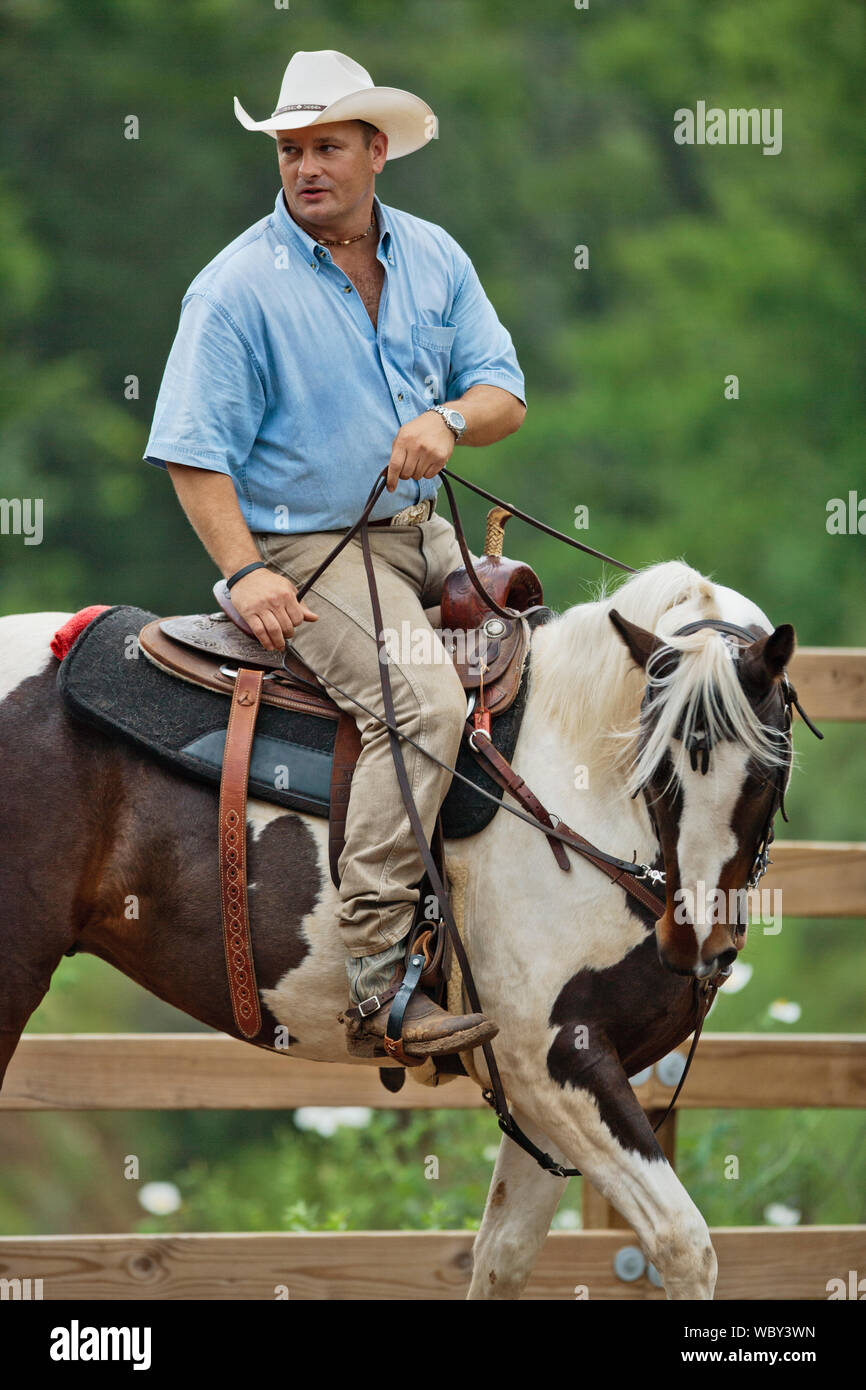 Cowboy walks his horse through the fields at the ranch Stock Photo - Alamy
