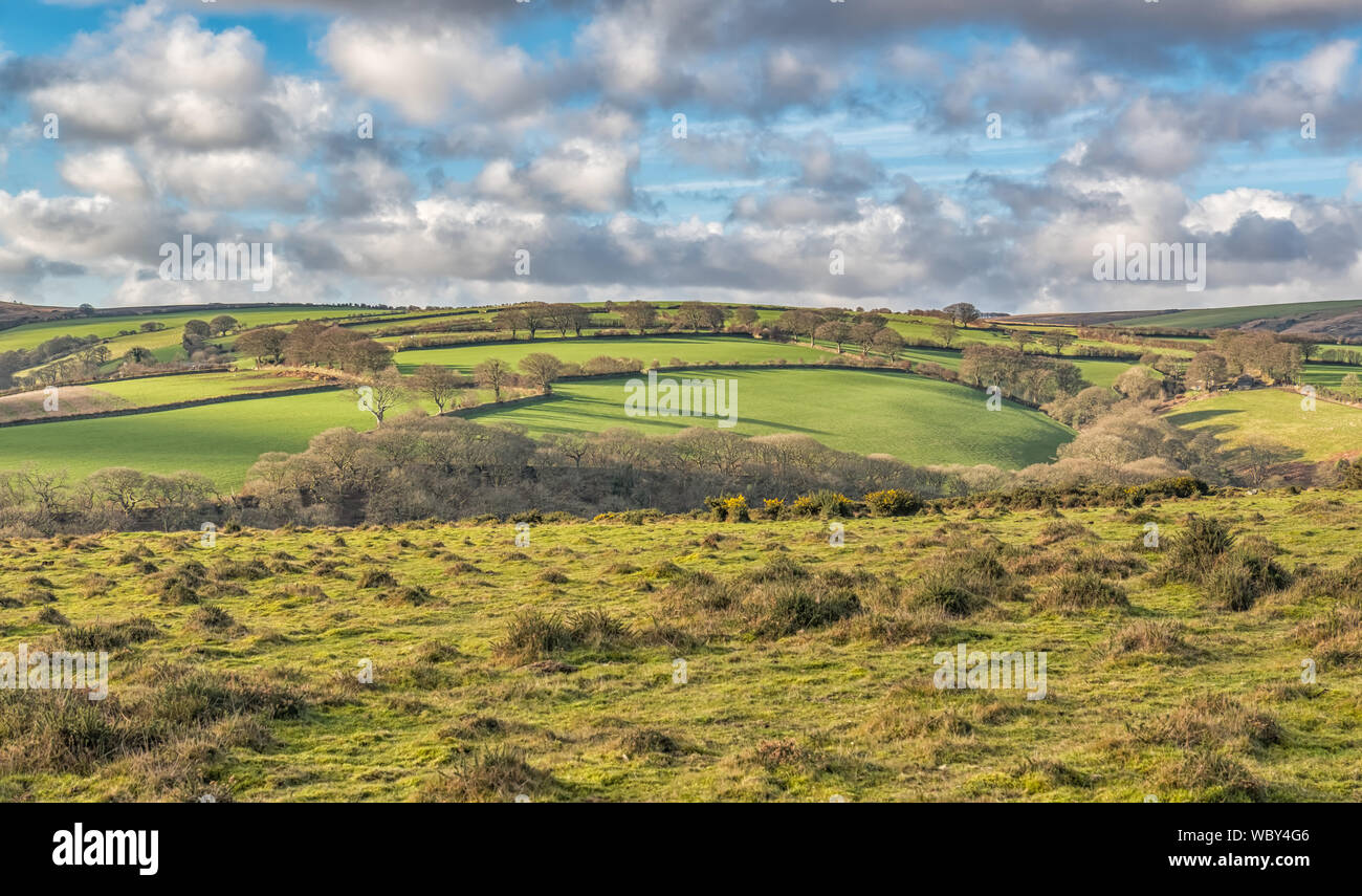 Ley Farming High Resolution Stock Photography and Images - Alamy