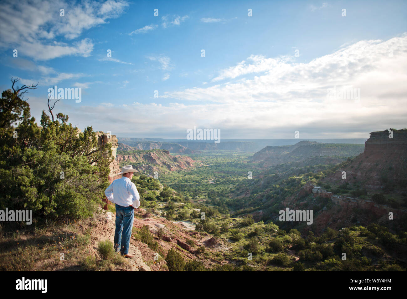 Wealthy rancher surveys his land from the top of a rocky canyon Stock ...